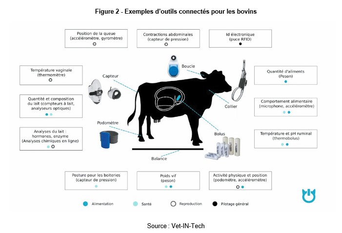 Télémédecine vétérinaire et transformation de la pratique en santé animale - Analyse n° 194 ...